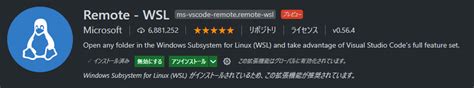 Microsoft Java