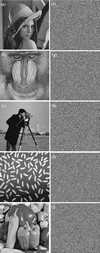 Original And Cipher Images A F Lena B G Baboon C H Camera Man D