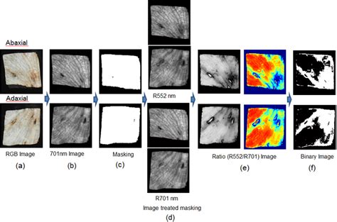 illustration of image processing sequence for the ri algorithm using