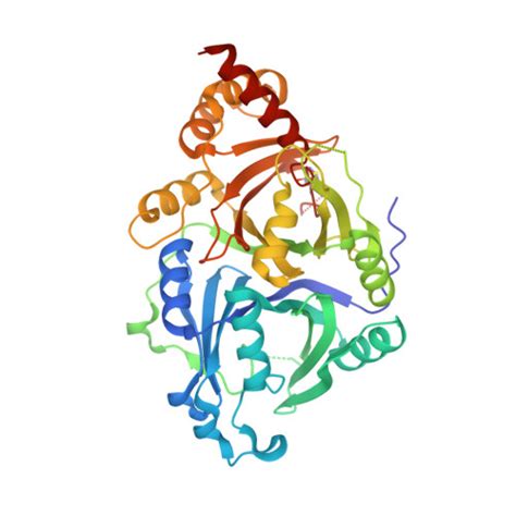 RCSB PDB WJ Complex Structure Of AtHPPD PyQ
