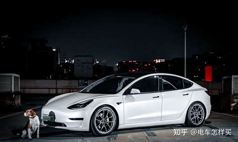 第一辆新能源汽车，该如何挑选？需要注意些什么呢？ 知乎