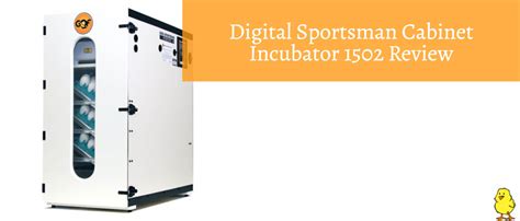 Recent Reviews Incubator Expert