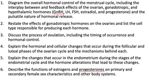 Physio 40 Female Reproductive System Complete Flashcards Quizlet