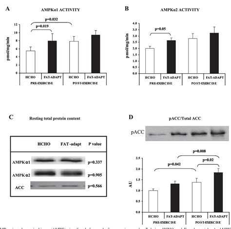 Figure 4 From Fat Adaptation Followed By Carbohydrate Restoration