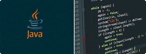 Essential Backend Programming Languages Amoniac Insights