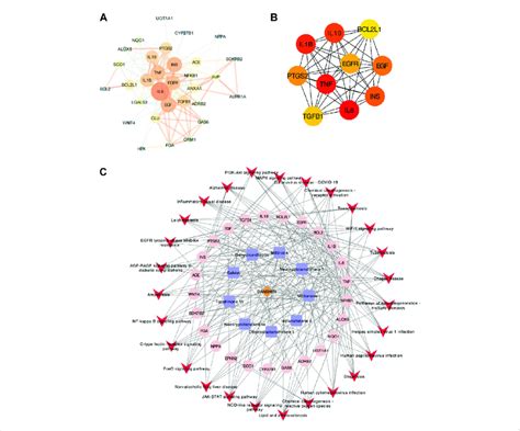 Ppi Network Analysis A Ppi Network Analysis Of 32 Intersecting