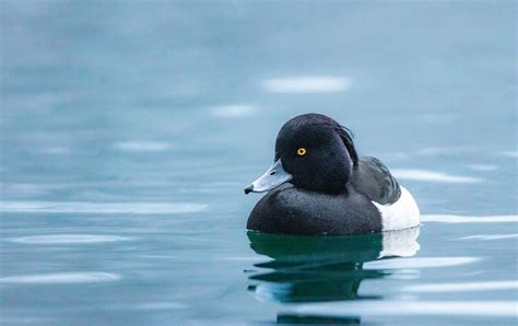 typescript와 duck typing — 정현우의 개발 블로그