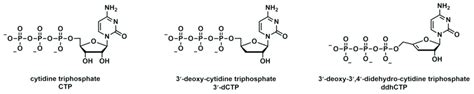 Ctp Structure