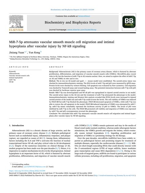 PDF MiR 7 5p Attenuates Vascular Smooth Muscle Cell Migration And