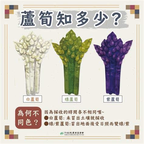 農業部 蘆筍 知多少 蘆筍營養豐富又低熱量 高營養 高鉀低鈉 低熱量 不含脂肪和膽固醇 Facebook