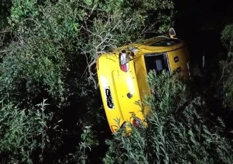 Motorista sai da pista e vai parar em área de vegetação na BR 290 em