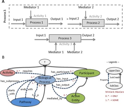 A Systemic Representation Of A Metabolic Pathway Two Metabolic