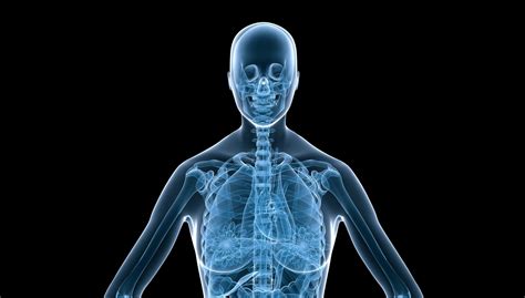 Strategies For Regeneration Of The Intervertebral Disc Regmednet