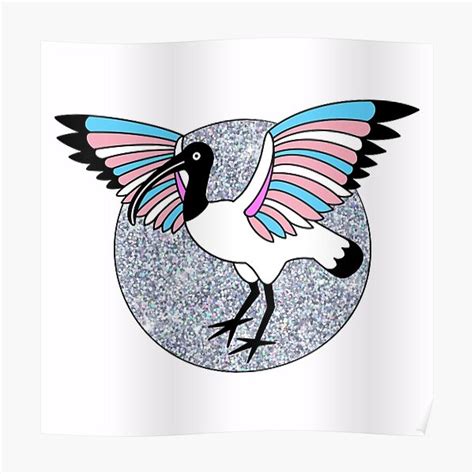 Transbis [jesse Irwin Art] Poster For Sale By Jesseirwinart Redbubble