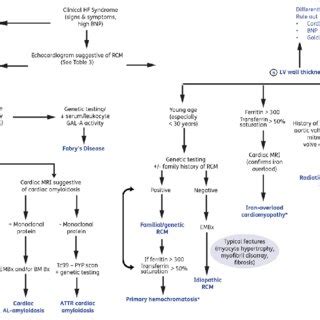 Suggested Algorithm For Evaluation Of RCM Please Note That As RCM Is A Download Scientific