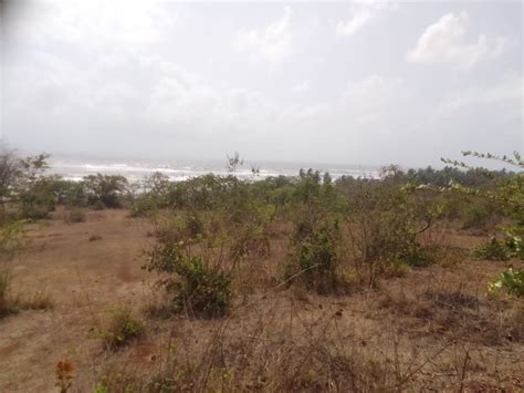 Agricultural Land 38 Guntha For Sale In Dapoli Ratnagiri Rei1163591