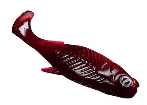 Gizzard Wizard Top Shelf Tackle