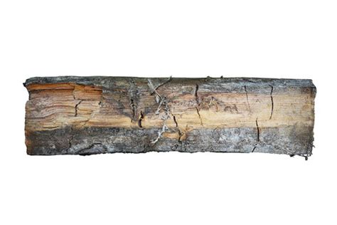 Rot Images Browse 2 776 394 Stock Photos Vectors And Video Adobe