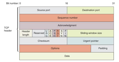 Chapter 4 Network Protocols And Routing Flashcards Quizlet