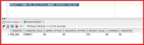 Pdbdba In Oracle Dot Net Tutorials