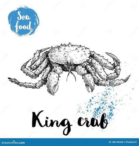 King Crab Drawing