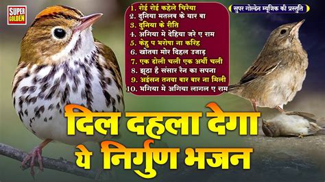 जो भी सुन रहा है ये निर्गुण भजन वह रोने लग रहा है बहुत ही दर्दनाक है ये