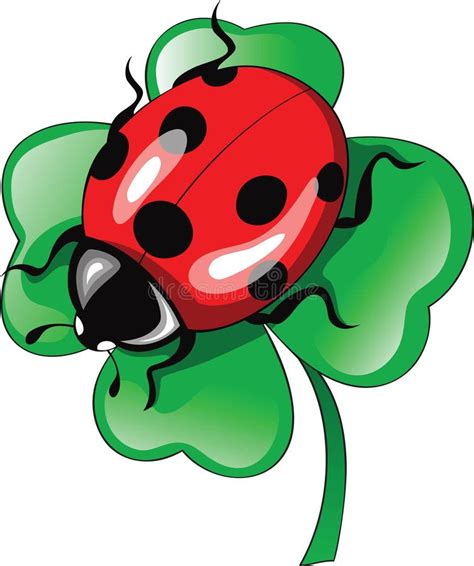 Ladybug On Clover Stock Vector Illustration Of Graphics 18869991