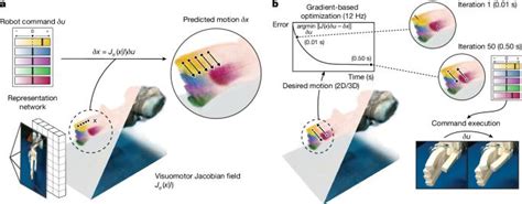 Controlling Diverse Robots By Inferring Jacobian Fields With Deep Networks Nature Annan