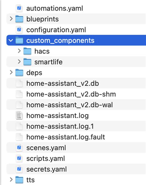 How To Install Smart Life Integration Beta Tuya Developer Platform Tuya Developer