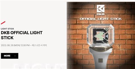 230828dkb Everline Dkb Official Light Stick Rdkb