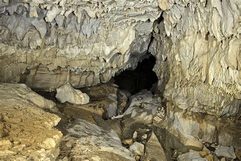Sinking Cove Cave Franklin County Tennessee