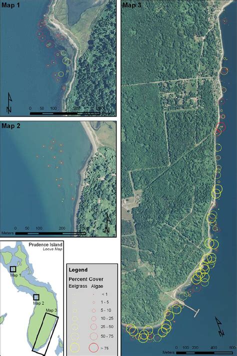 Cover Of Eelgrass And Total Macroalgae Habitat In 2012 Depicted With Download Scientific