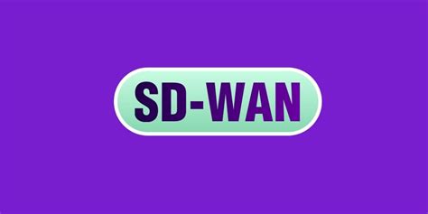 2 Cisco SD WAN Terminology A Comprehensive Guide