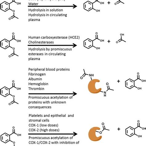 The Chemistry Of Aspirin Under Basic Conditions Deprotonation Of The Download Scientific