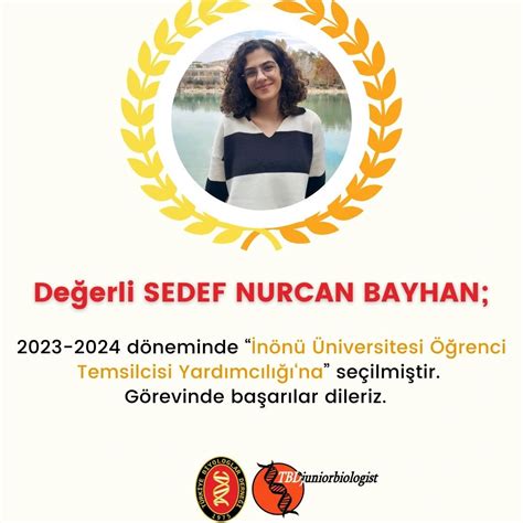Değerli Bağlantılarım Sedef Nurcan Bayhan