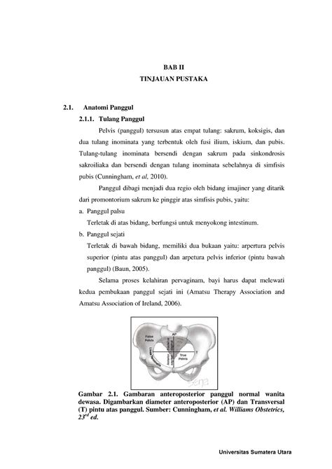 Anatomi Panggul Bab Ii Tinjauan Pustaka Anatomi Panggul 2 1 Tulang