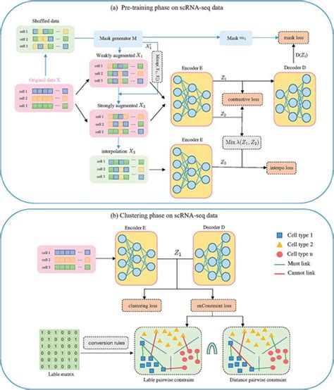 deep enhanced constraint clustering based on contrastive learning for