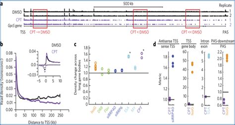 Total RNA Seq Reveals Pharmacological Effects On Specific Stages Of MRNA Synthesis RNA Seq Blog