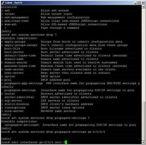 Dhcp Juniper Srx Windows