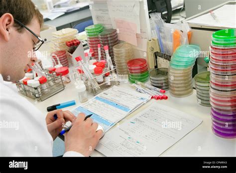 Bacterial Identification Tube Hi Res Stock Photography And Images Alamy