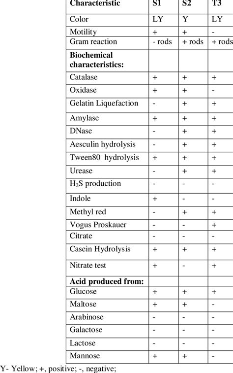 1 Biochemical Characterization Of Isolates Download Table