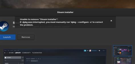 Reverted To Zorin Light Via Sudo Now I Can Not Delete Programs