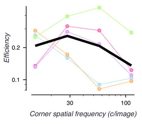 Efficiency Of Human Naturalness Sensitivity Compared To The Model