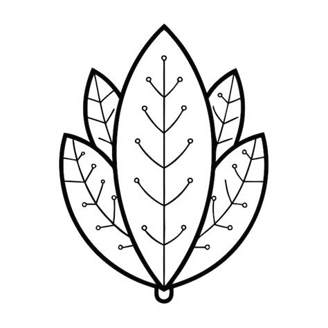 Cactus Leaf Icon Vector Illustration On White Background Premium Ai