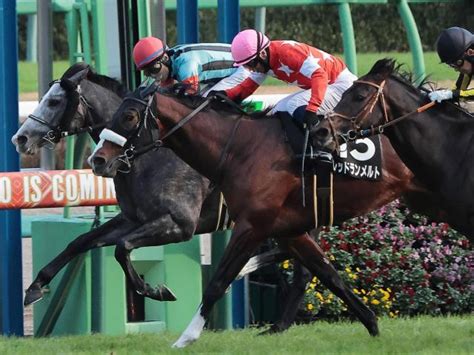 小倉大賞典はディープ産駒に要注目！ レッドランメルトで4勝目なるか 競馬ニュース