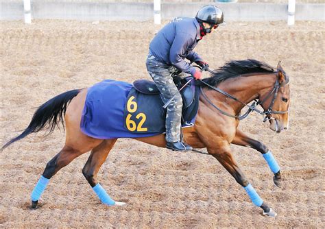 【フェアリーs】スティールブルーが単勝1番人気2・2倍 キャットファイトが3・8倍で続く 前売り最終オッズ Umatoku 馬トク