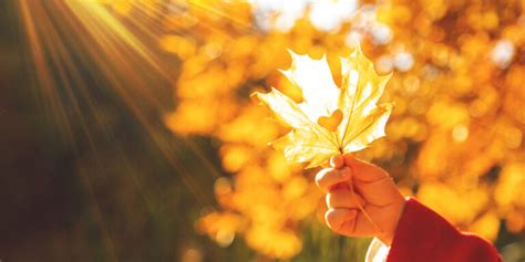 Kleine Herbsträtsel für Kinder Herbst BAUSTEiNE KiNDERGARTEN