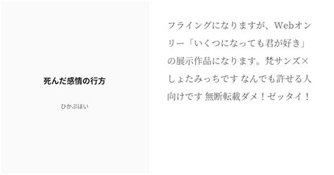 R 18 東京【腐】リベンジャーズ 腐向け 死んだ感情の行方 ひか☻ぷほいの小説 Pixiv
