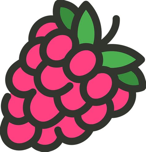 Download Raspberry Fruit Food Royalty Free Vector Graphic Pixabay