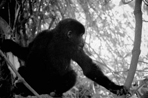 Michael J Bernaski On Linkedin One Trend I Have Spotted In The Use Of